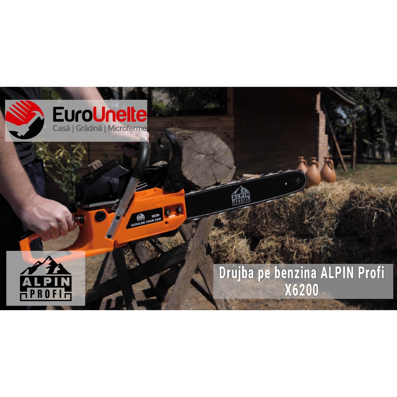 Drujba ALPIN Profi X6200 : Review - InfoElectro.ro